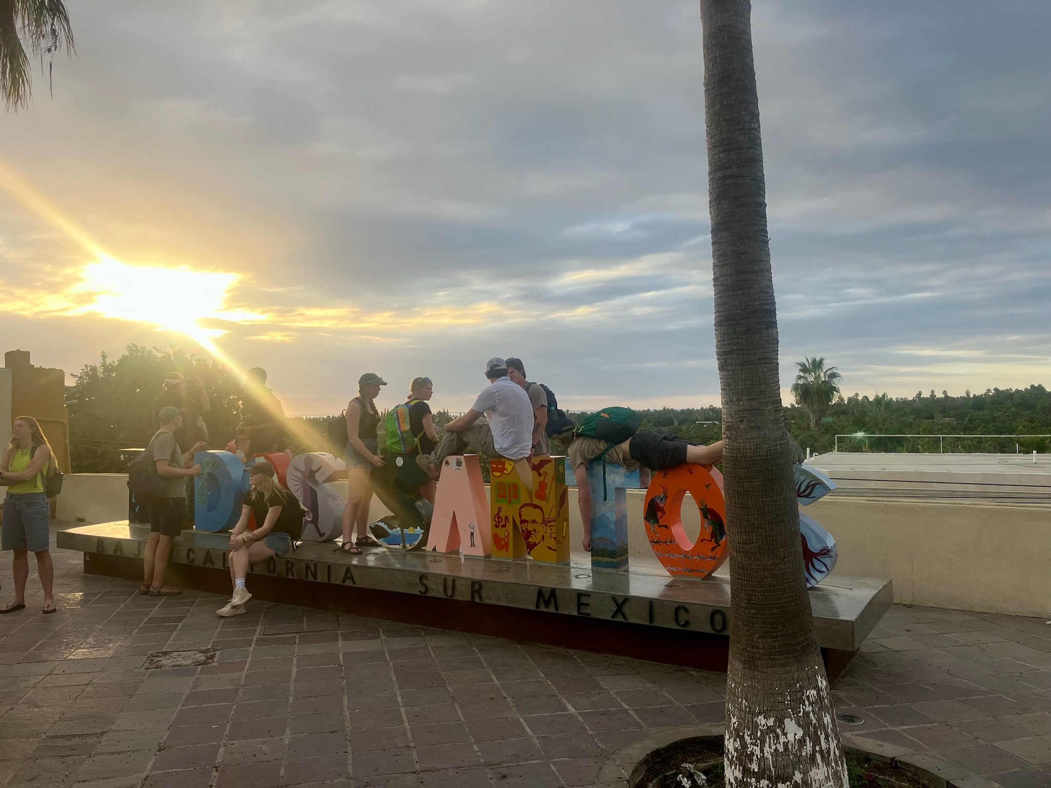 Evidence of Creativity Everywhere - The Link School